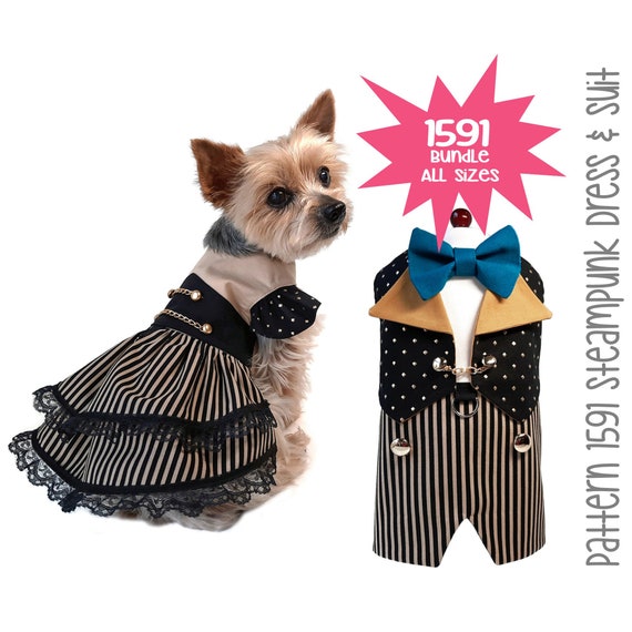 Steampunk Dog Dress Suit Sewing Pattern 1591 Victorian Dog - Etsy