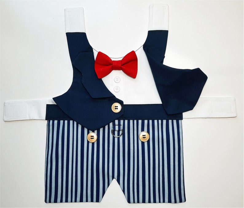 Maisie Dog Suit and Dress Sewing Pattern 1539 Wedding Dog - Etsy