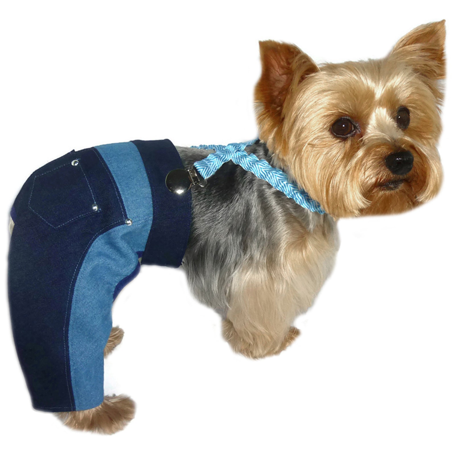 Dog Pants Sewing Pattern 1506 Dog Clothes Pattern Dog - Etsy