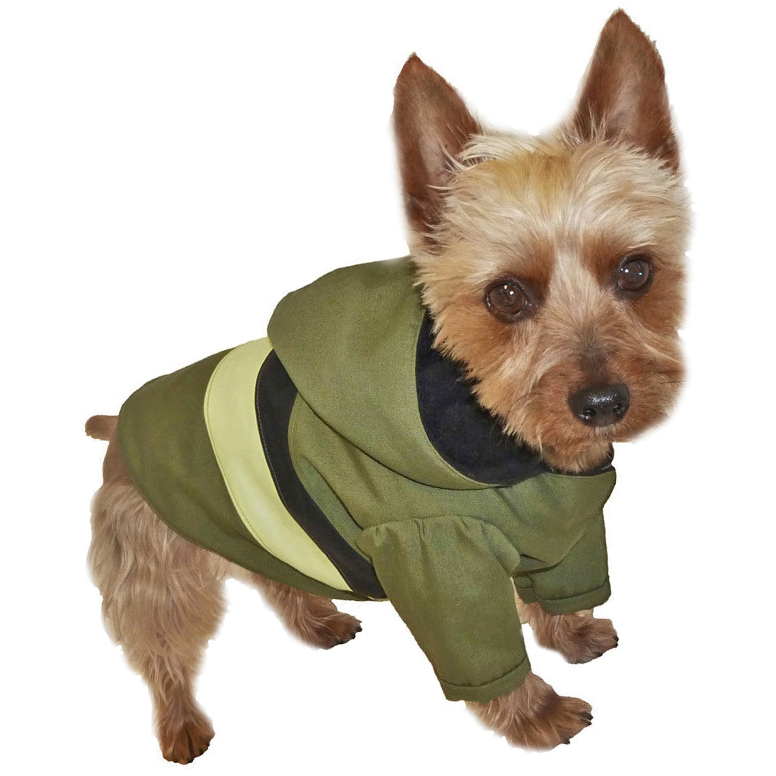 Winter Dog Coat Sewing Pattern 1642 Dog Clothes PDF Patterns - Etsy