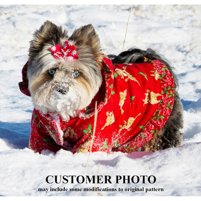 Winter Dog Coat Sewing Pattern 1642 Dog Clothes Patterns - Etsy