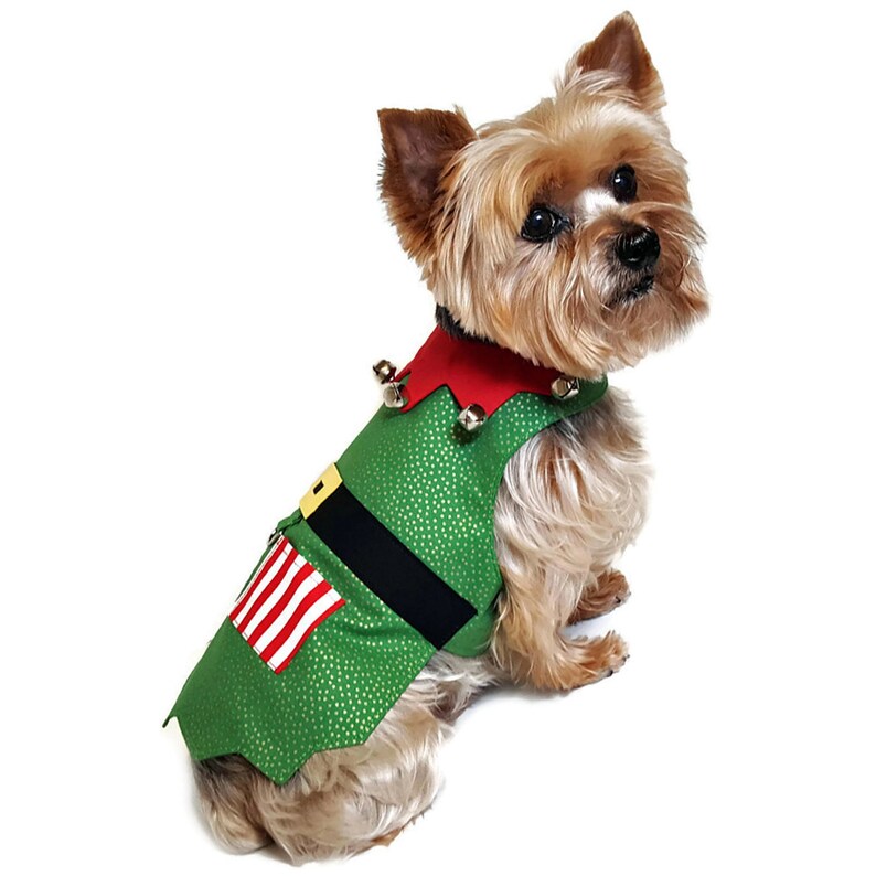 Christmas Elf Dog Clothes Sewing Pattern Xxlg – PDF DIY Holiday Pet ...