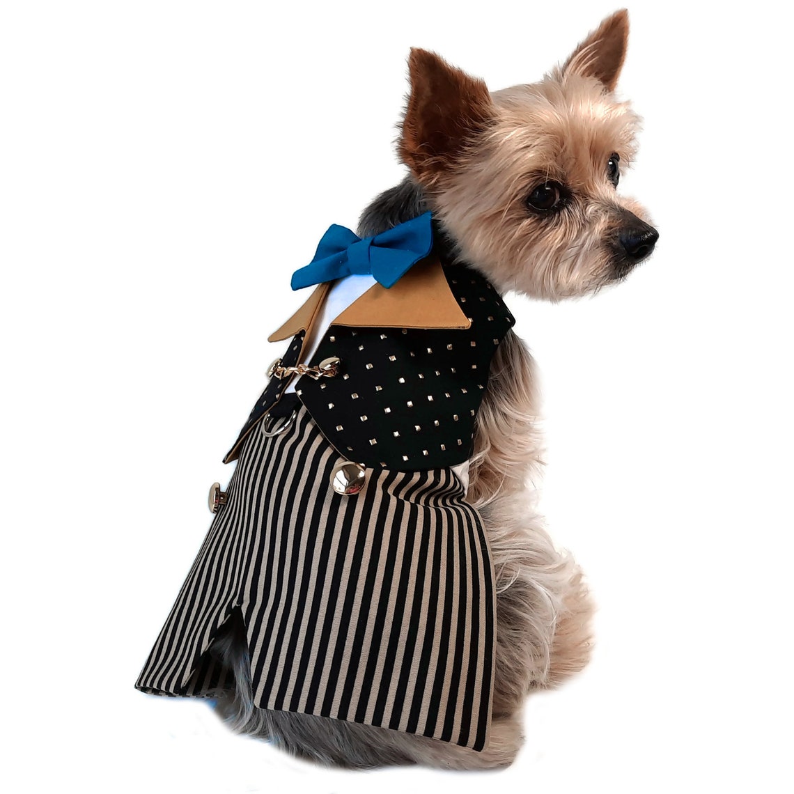 Steampunk Dog Dress Suit Sewing Pattern 1591 Victorian Dog - Etsy