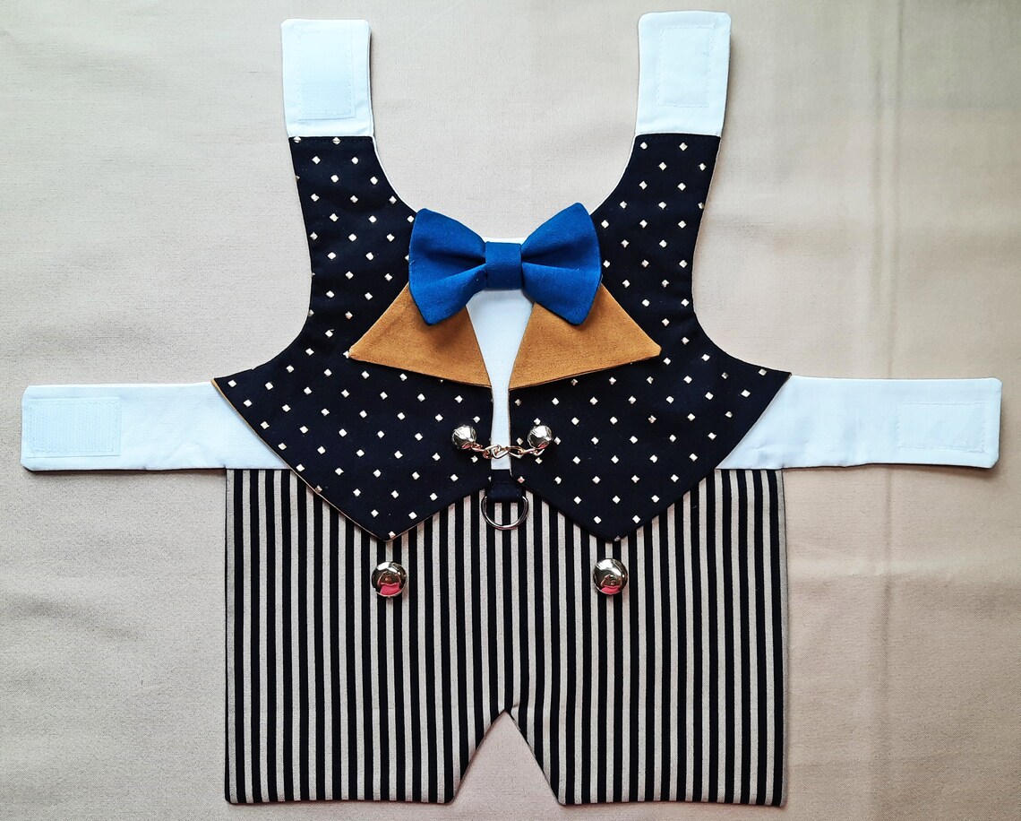 Steampunk Dog Dress Suit Sewing Pattern 1591 Victorian Dog - Etsy