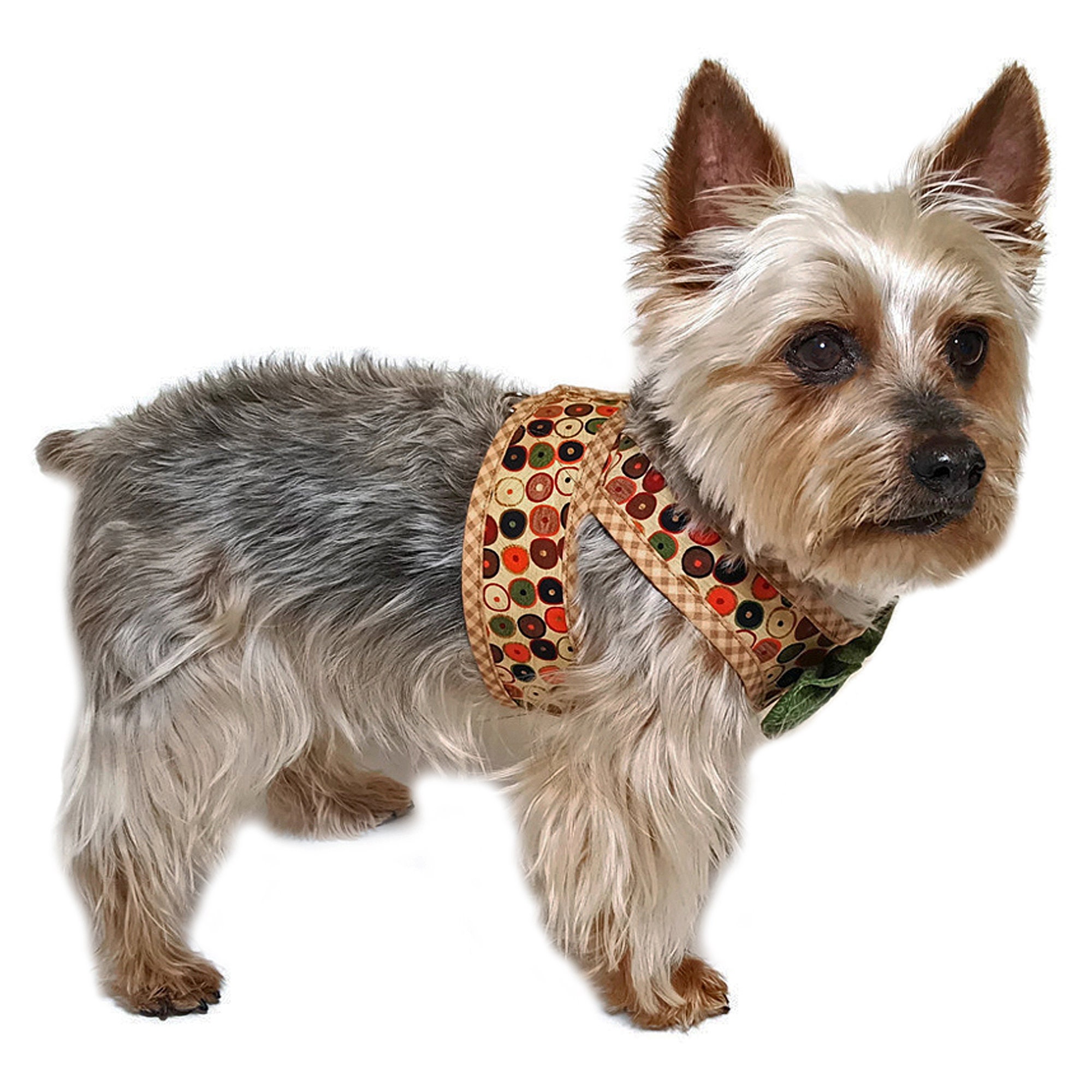 Step in Dog Harness Sewing Pattern 1631 Small Dog Harness | Etsy Australia