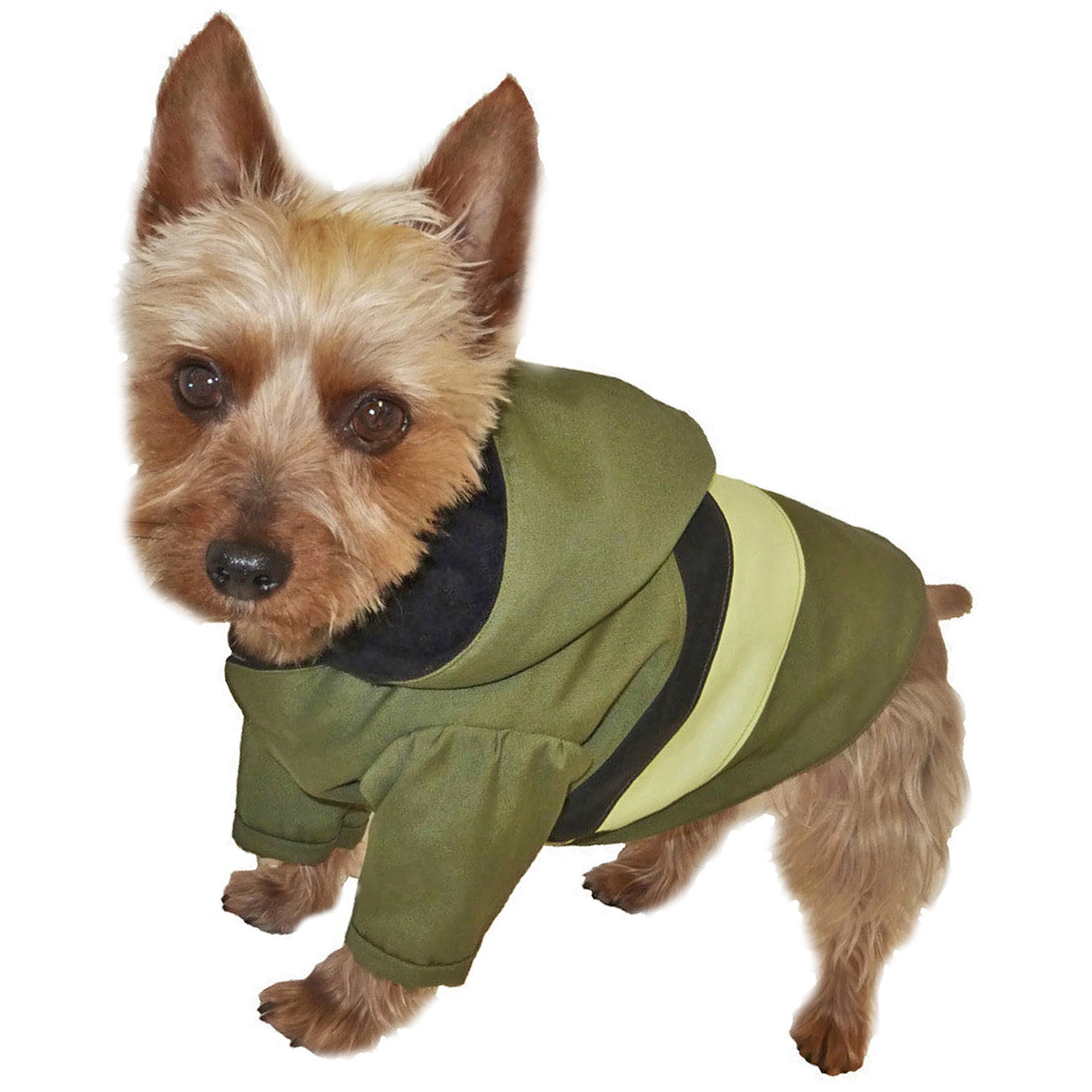 Winter Dog Coat Sewing Pattern 1642 Dog Clothes PDF Patterns - Etsy Canada