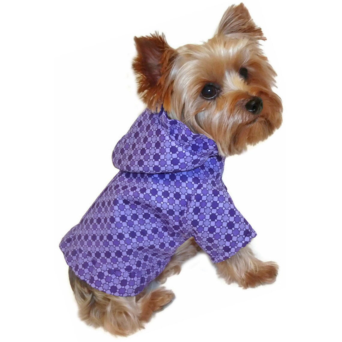Winter Dog Coat Sewing Pattern 1642 Dog Clothes Patterns - Etsy