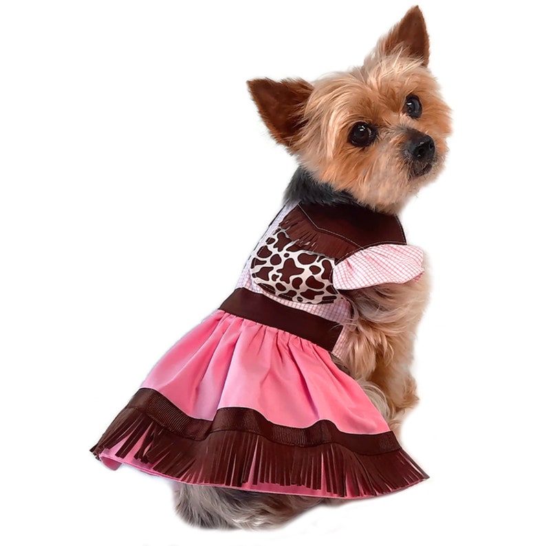 Cowdog Dude and Diva Sewing Pattern 1523 Cowboy Dog and Pet - Etsy