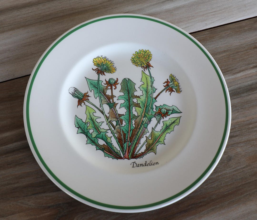 TIFFANY & CO Wildflower 8" Plate DANDELIONS Plate - Spring Garden ...
