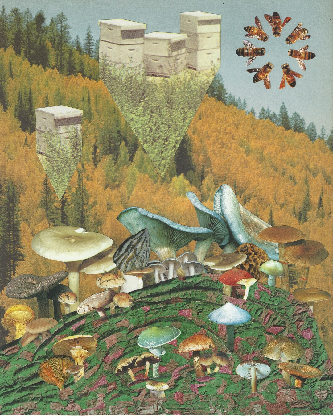 Artist-signed Print of Hand-cut Collage - Etsy