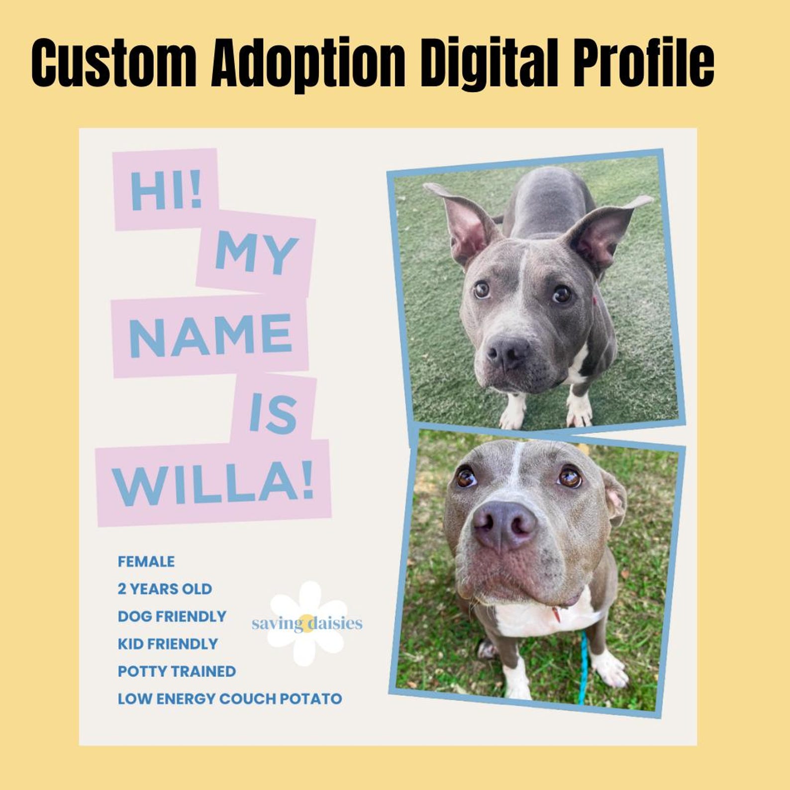 Custom Dog Cat Adoption Template Instagram Post Template Dog Adoption ...