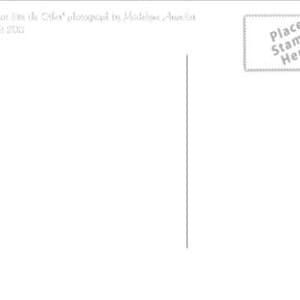 Windy Postcard - Etsy