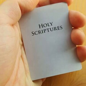 Jehovah's Witness Bible Sticky Notes Gifts Verses of Ministry JW ...