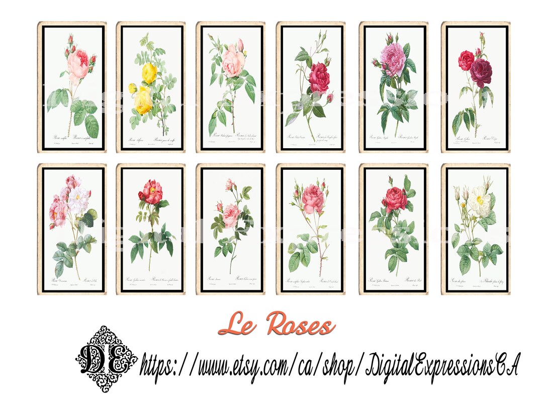 Tea Cards, VINTAGE ROSES Ephemera Digital TEA Cards, Floral Botanical ...