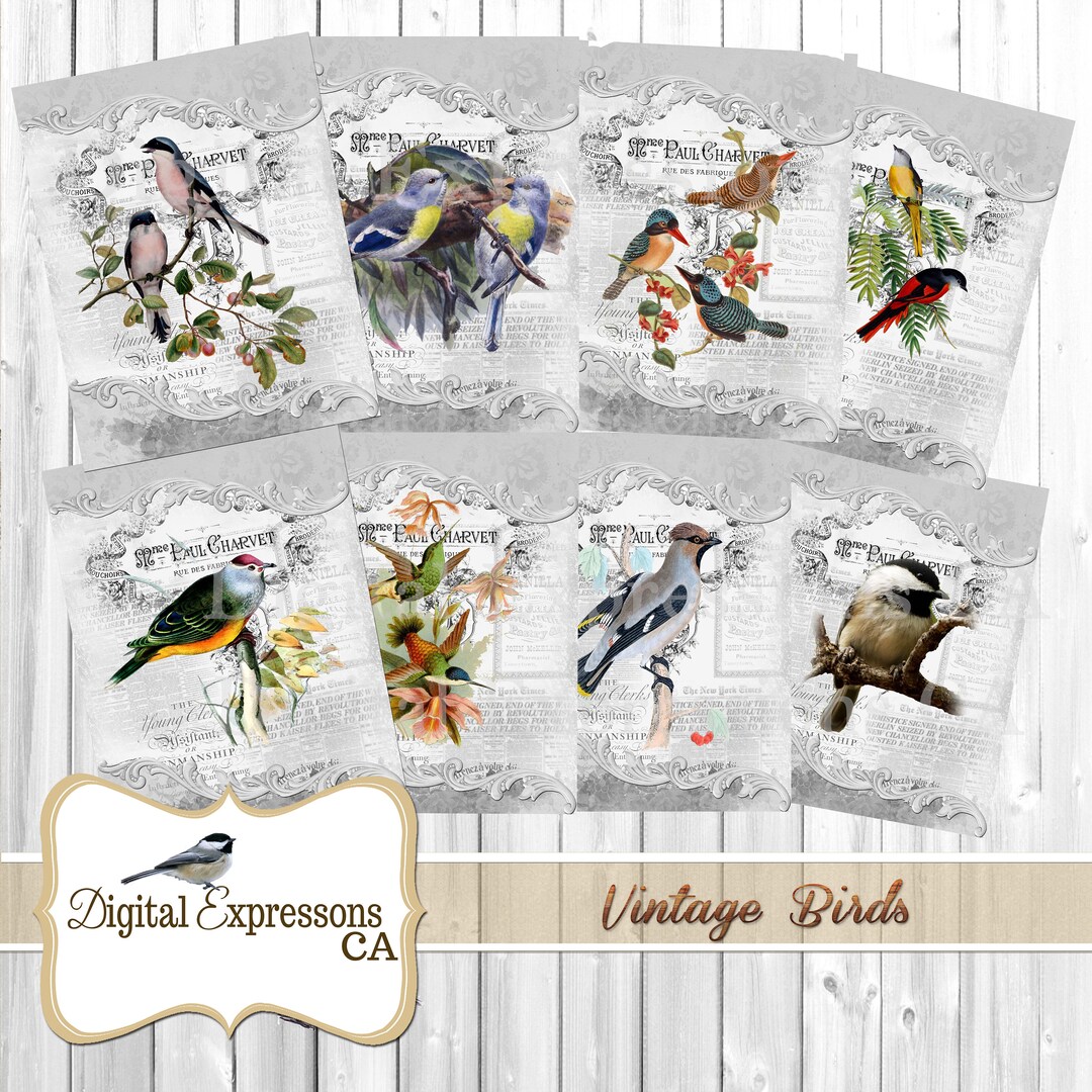 Bird Junk Journal Kit, Vintage Bird Paper, Digital Collage Sheets ...
