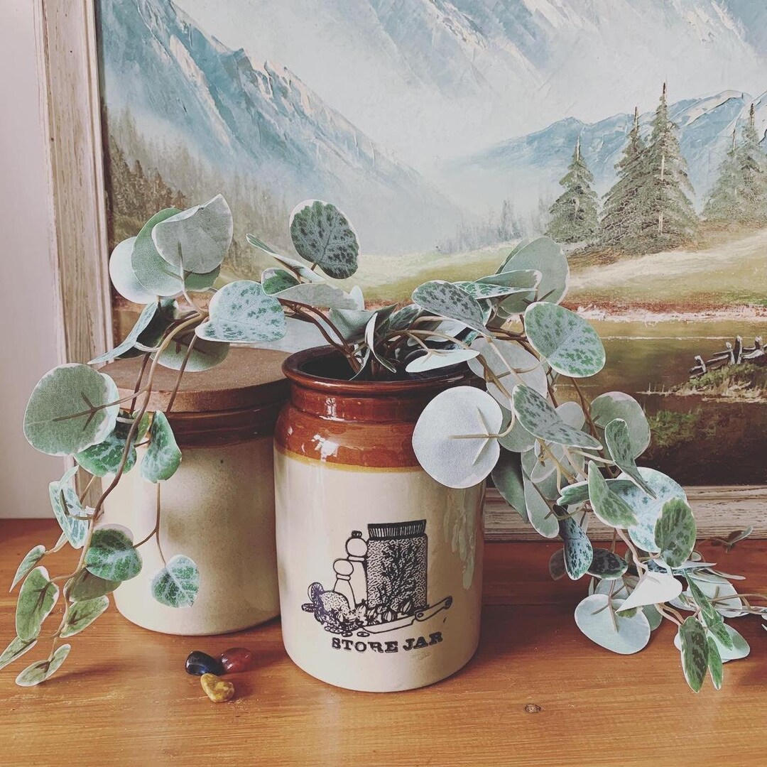 Vintage Heavy Stoneware 'store Jar' Canister Plant Pot With Cork Lid ...