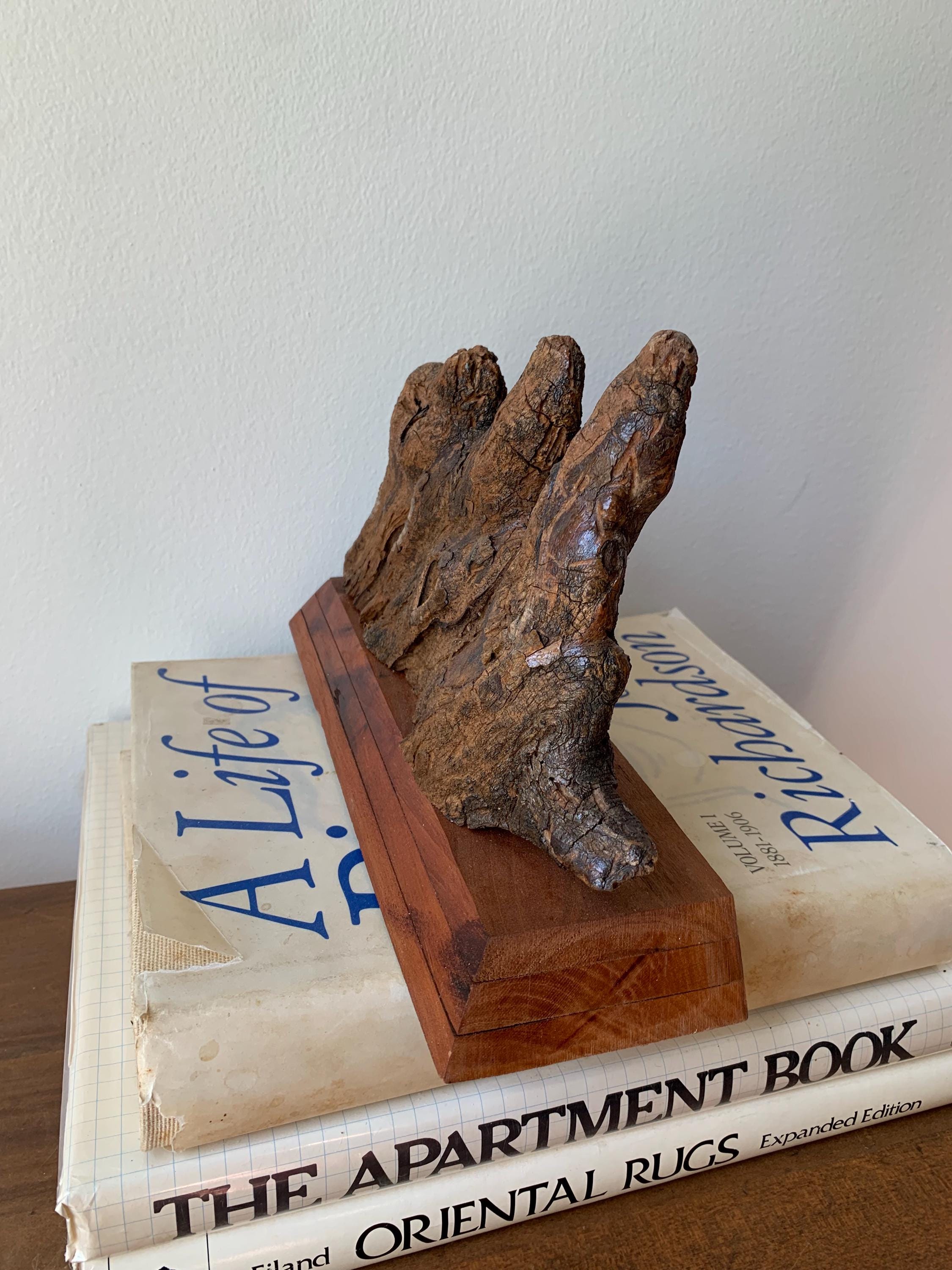 Handmade Cypress Knee Tree Natural Wood Decorative Sculpture Mounted on ...