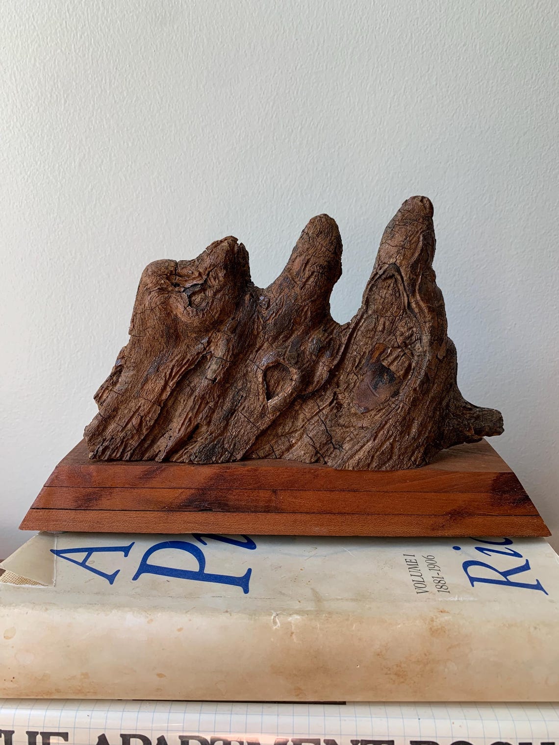 Handmade Cypress Knee Tree Natural Wood Decorative Sculpture Mounted on ...