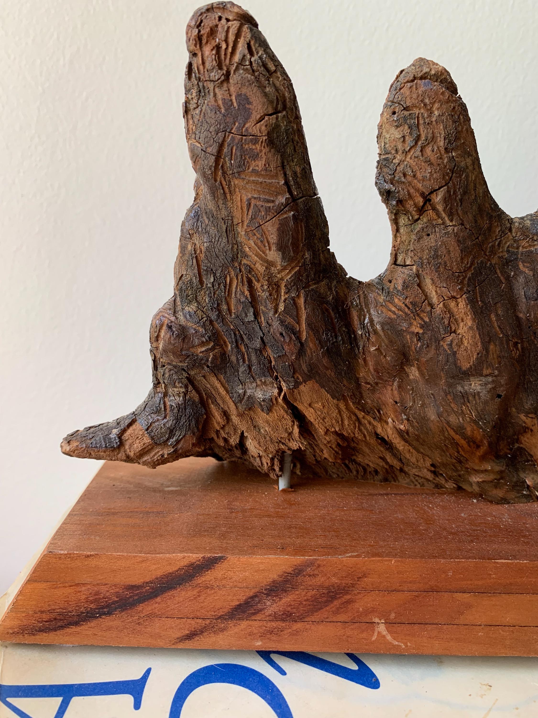 Handmade Cypress Knee Tree Natural Wood Decorative Sculpture Mounted on ...