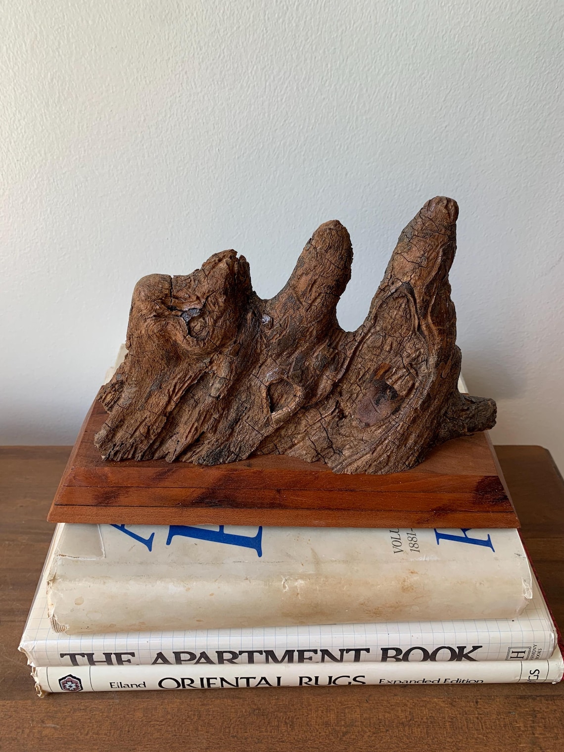 Handmade Cypress Knee Tree Natural Wood Decorative Sculpture Mounted on ...