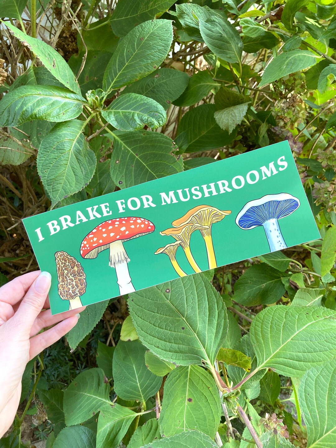 Mushroom Bumper Sticker | I Brake for Mushrooms | Vinyl Sticker | - Etsy