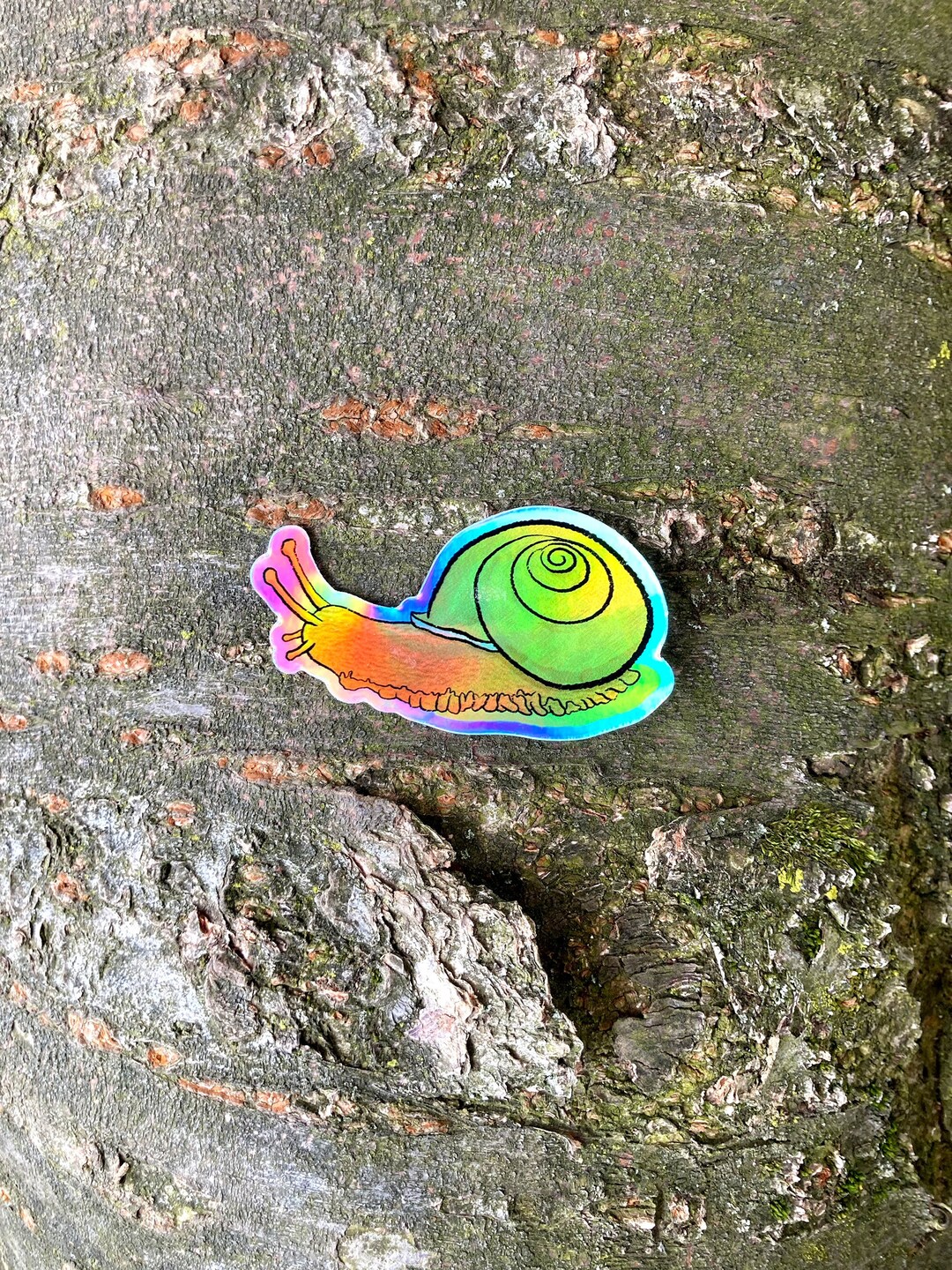 Snail Holographic Sticker | Snail Vinyl Sticker | Water Bottle Sticker ...