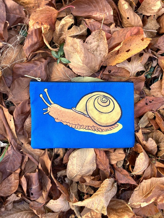 Pouch Snail