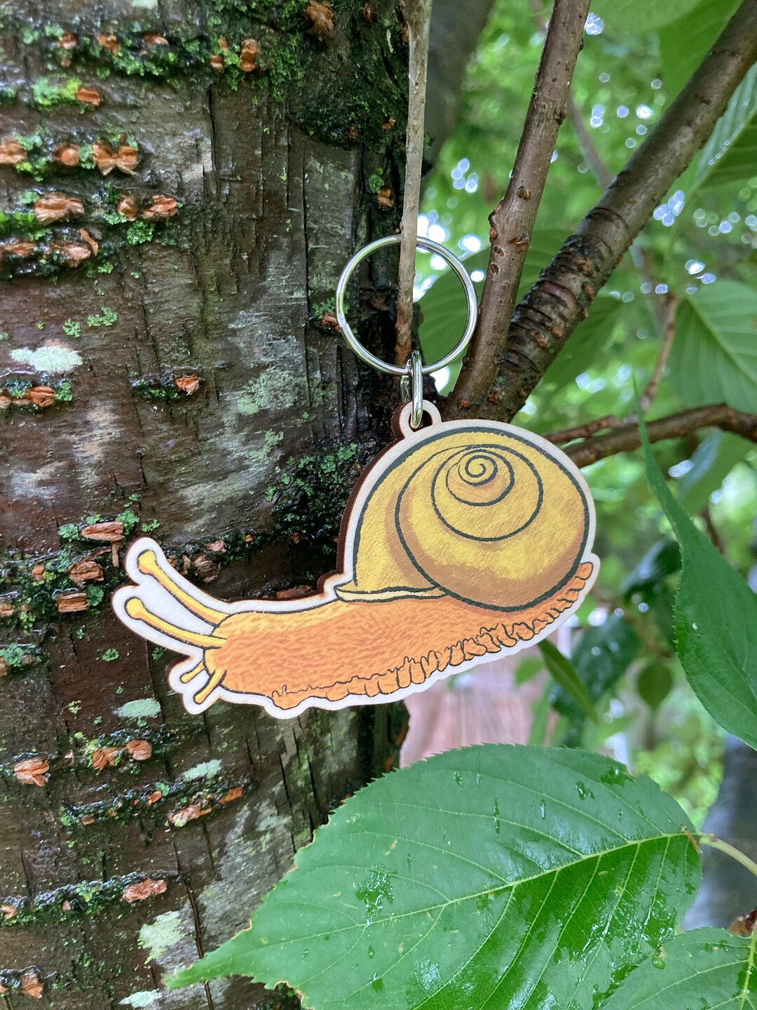 Snail Keychain: Sustainable Wood Keyring - Etsy