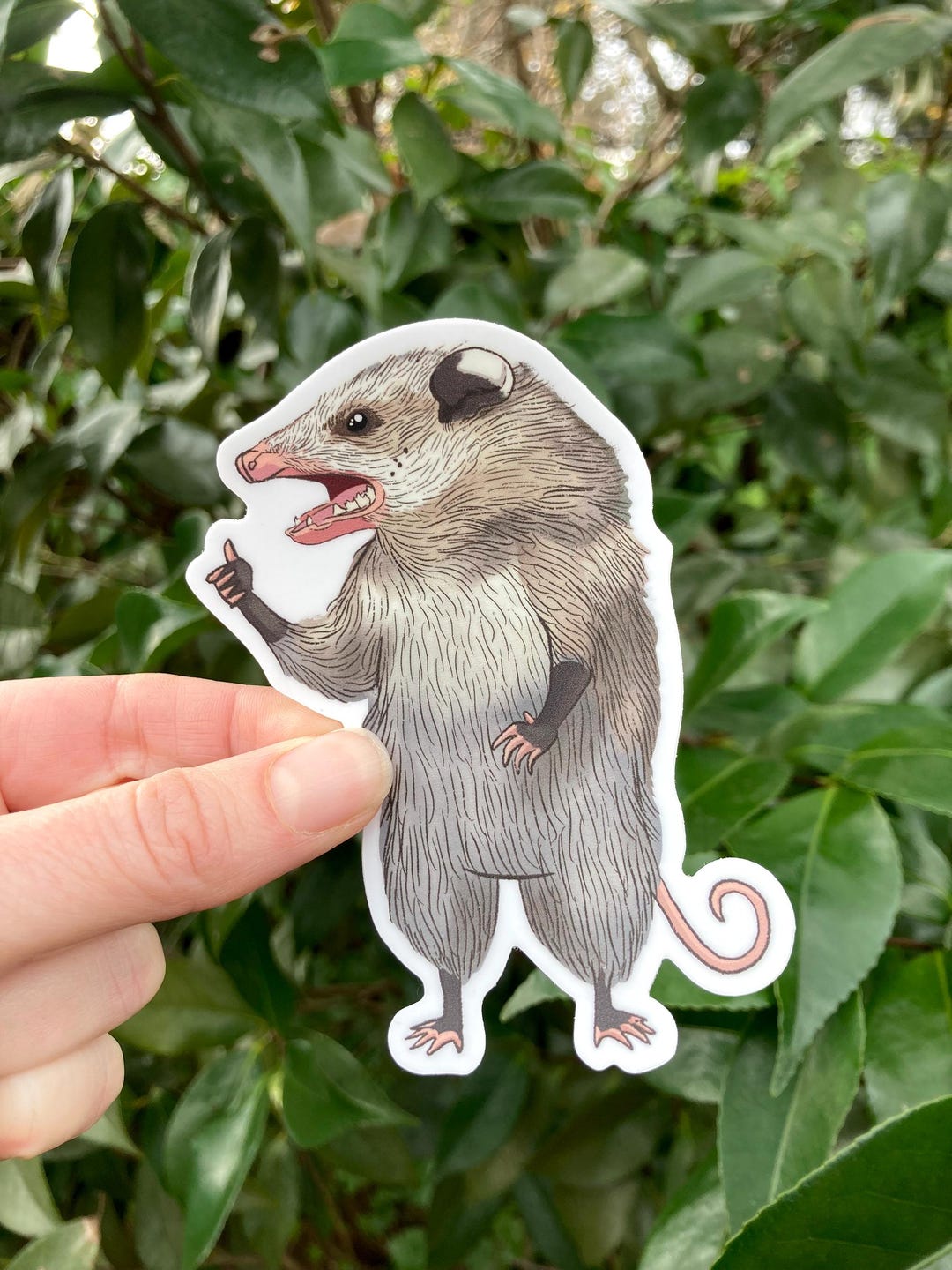 Opossum Vinyl Sticker | Waterproof Laptop Decal - Etsy