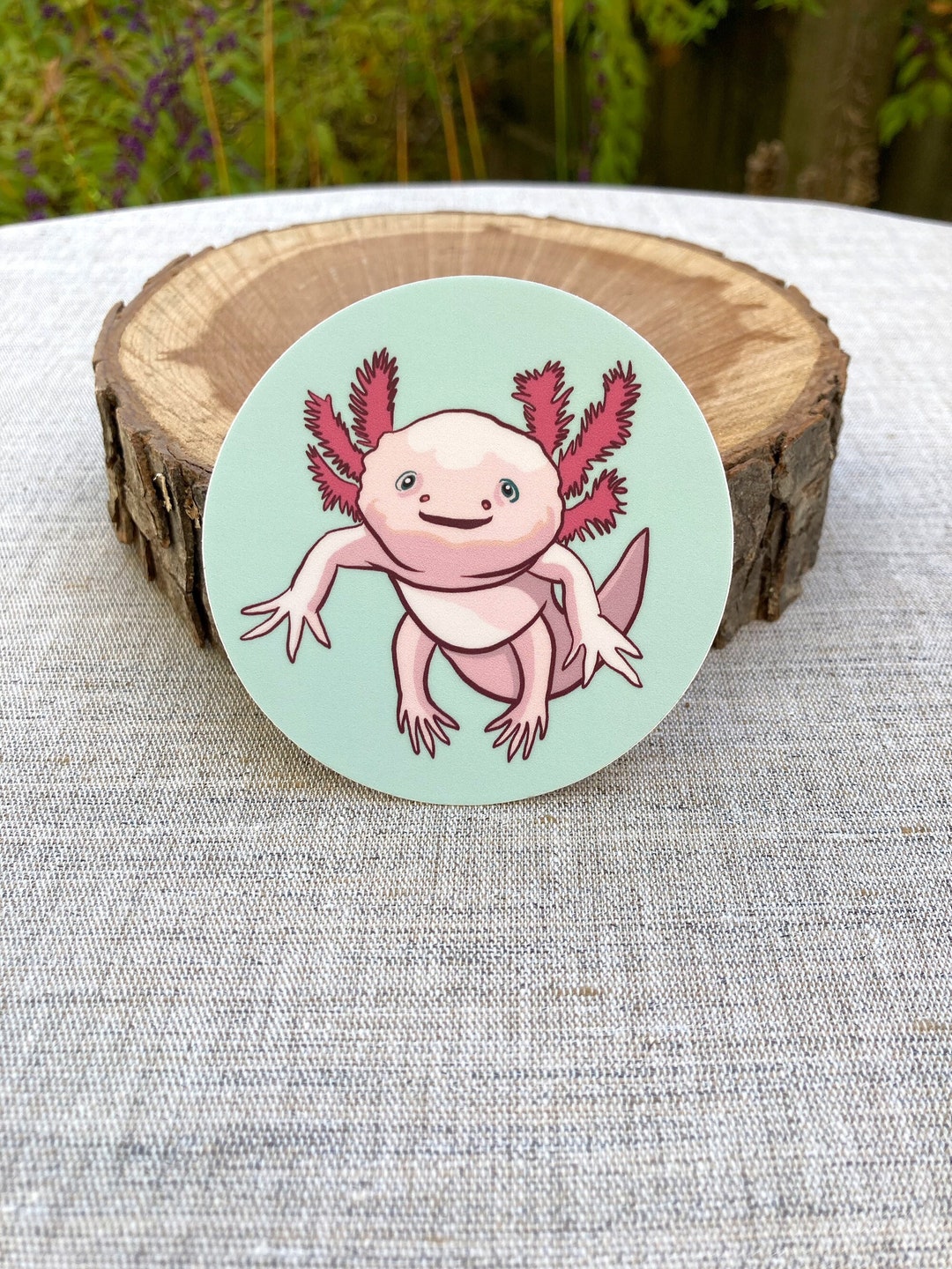 Axolotl Sticker | Vinyl Sticker | Water Bottle Sticker - Etsy