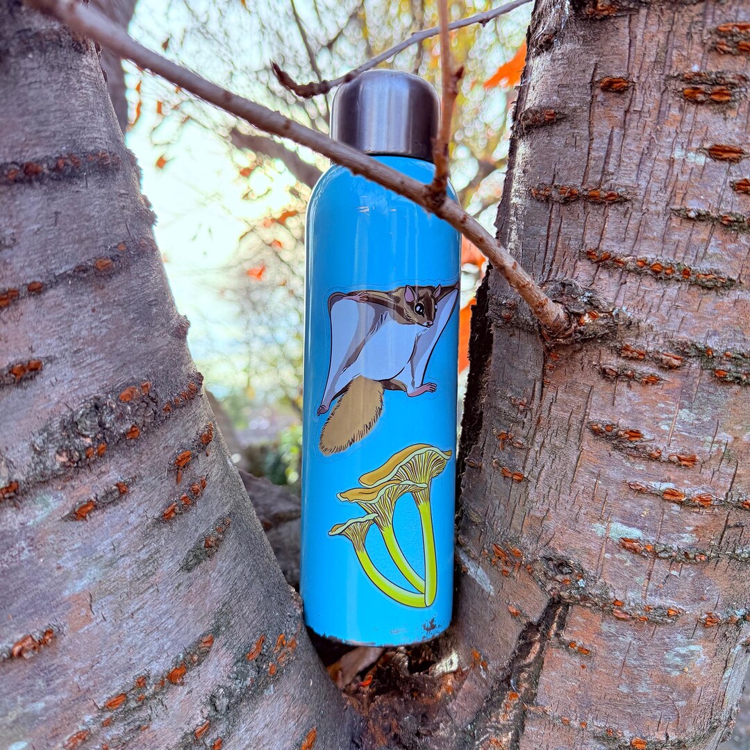 Flying Squirrel Sticker Vinyl Sticker Water Bottle Sticker - Etsy