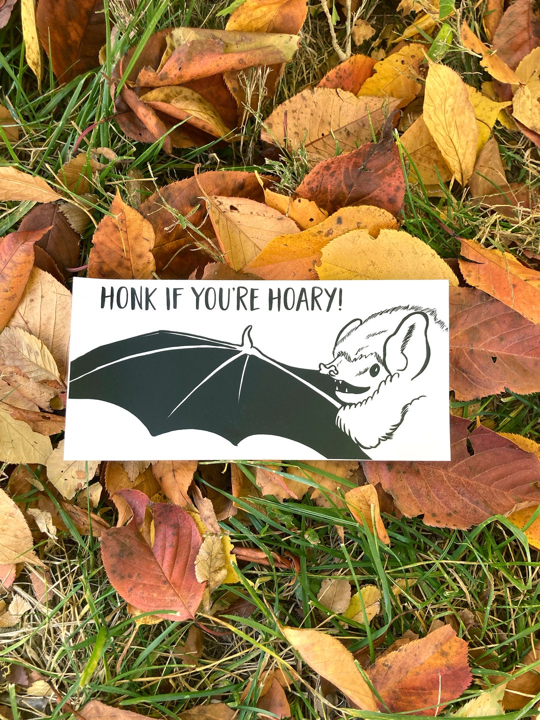 Hoary Bat Bumper Sticker | Animal Nerd Vinyl Decal - Etsy