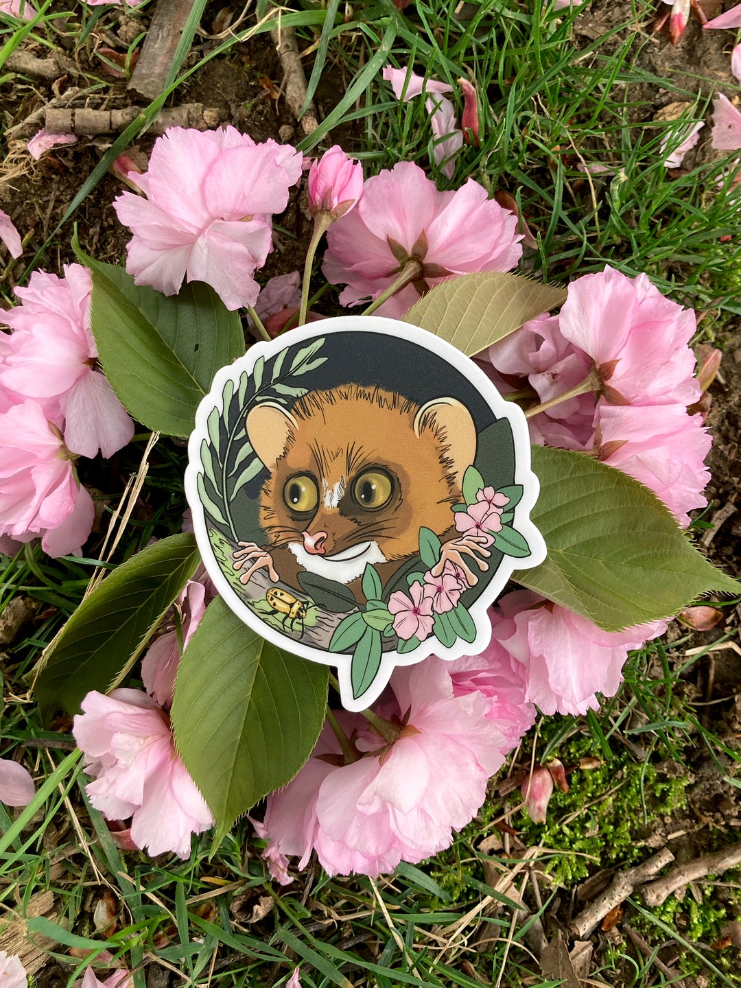 Mouse Lemur Sticker | Vinyl Sticker | Lemur Sticker | - Etsy