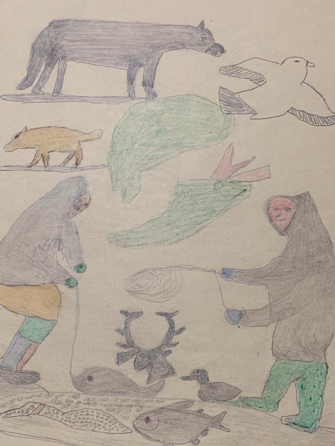 Inuit Coloured Pencil Drawing, Tuna Iqulik, Arviat, Nunavut , 8.5x11 ...