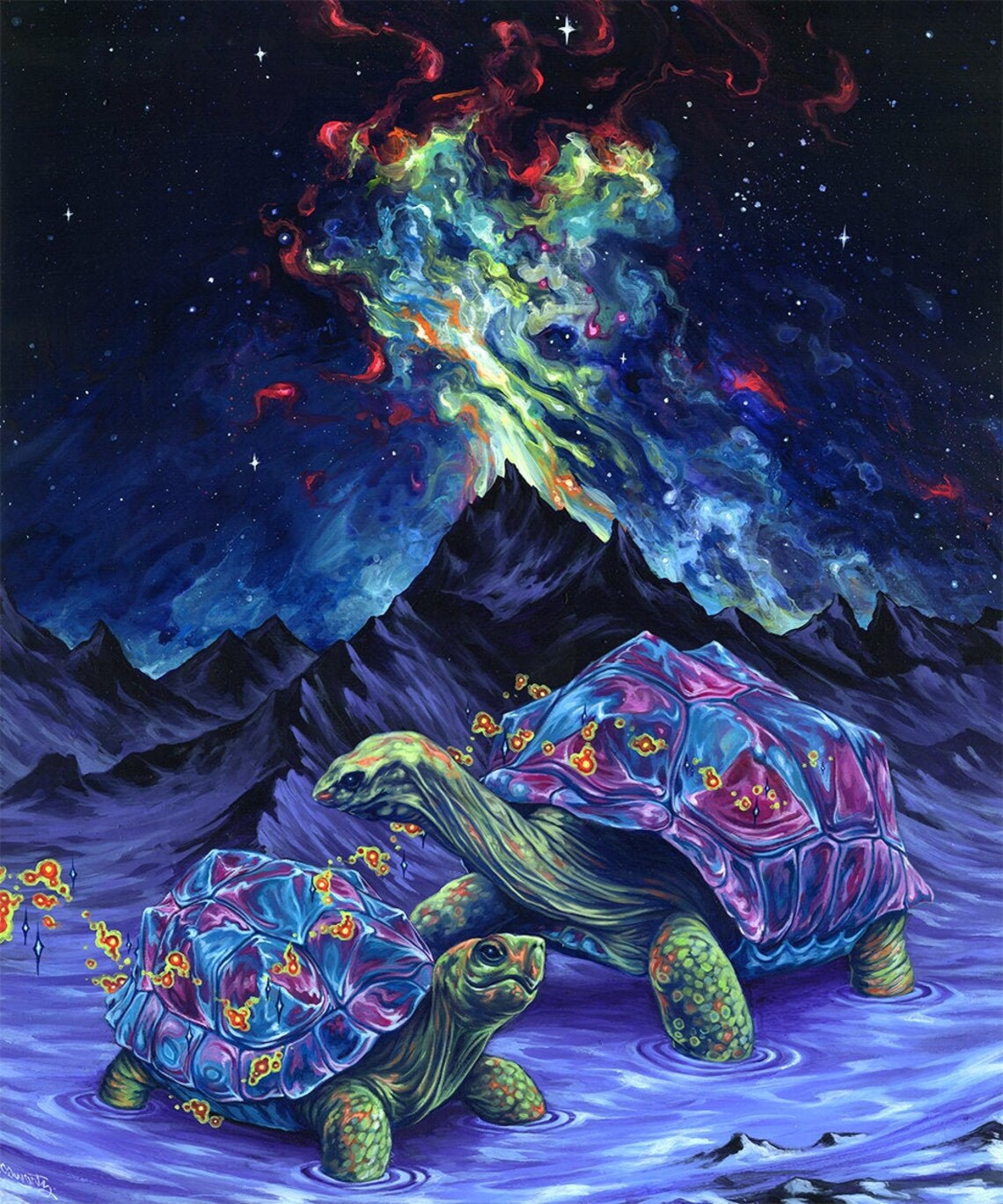 Turtle Art Tortoise Painting Wall Art Animal Art - Etsy