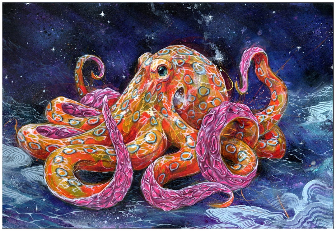 Octopus Art Print Animal Artwork Wall Art Wall Decor - Etsy