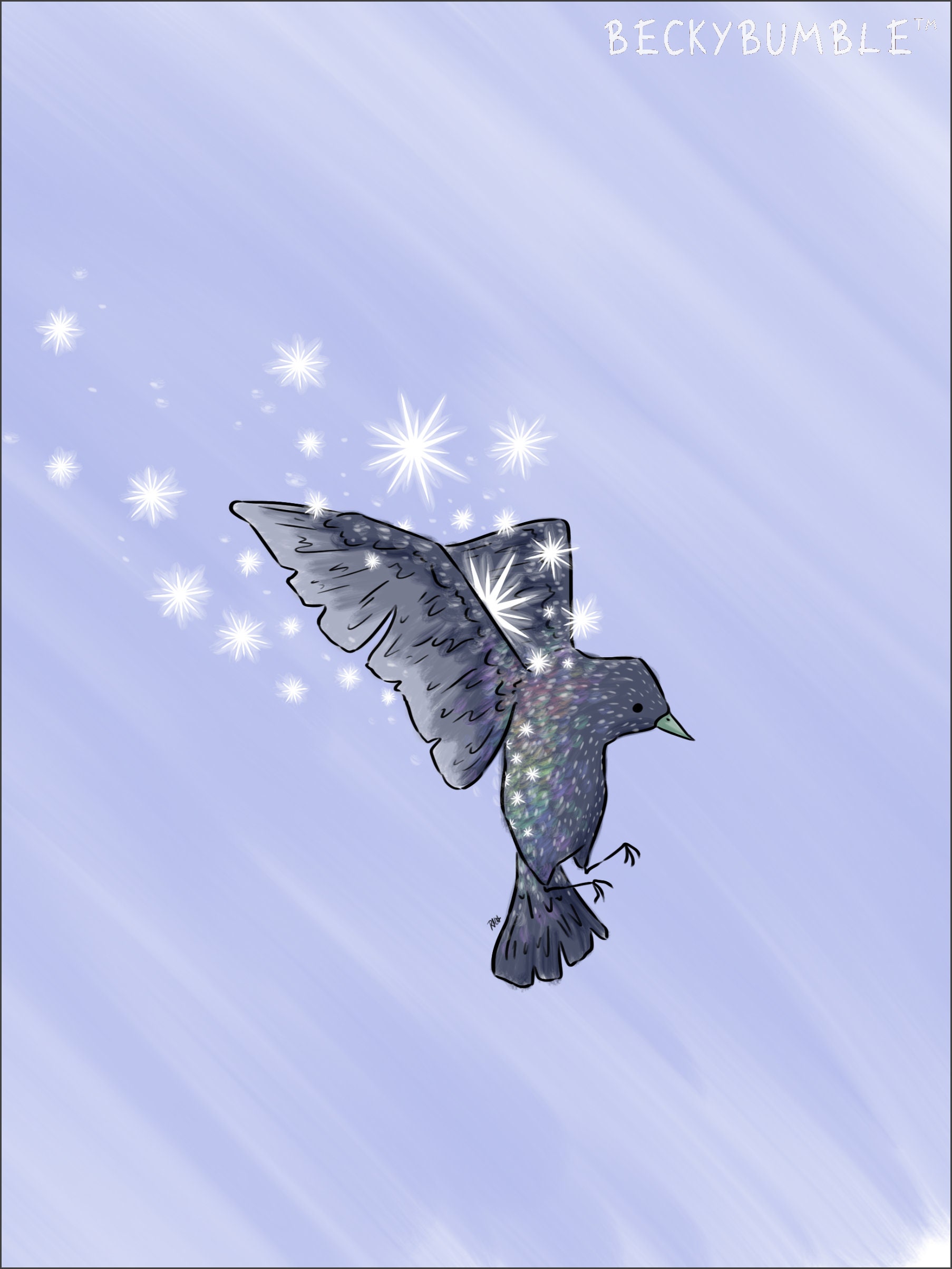 Starling Illustration Art Print Bird and Stars Blue Wall - Etsy