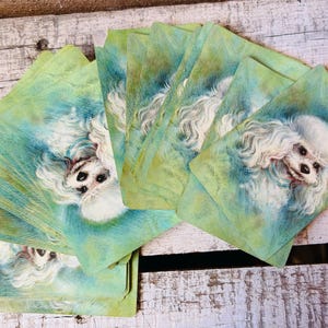 Vintage Hallmark Poodle Playing Cards Double Deck Boxed - Etsy