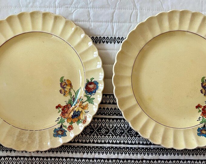 Vintage Golden Maize Dinner Plates X 2 Sebring Pottery, Mid Century ...