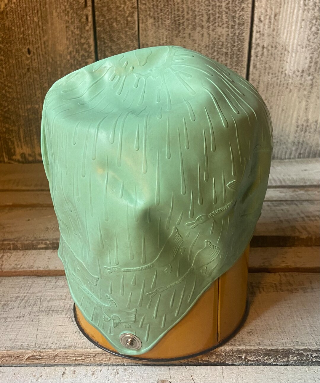 Vintage Green Swim Cap Bathing Cap Juvenile Ducks in Rain Design, Lake ...