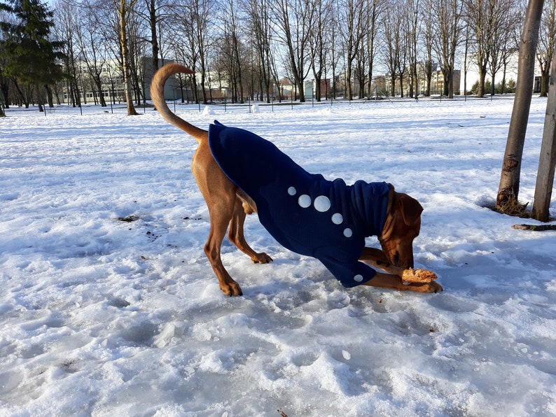 Chaqueta para pinscher y perros De alta calidad a mano cálida hecha con ...