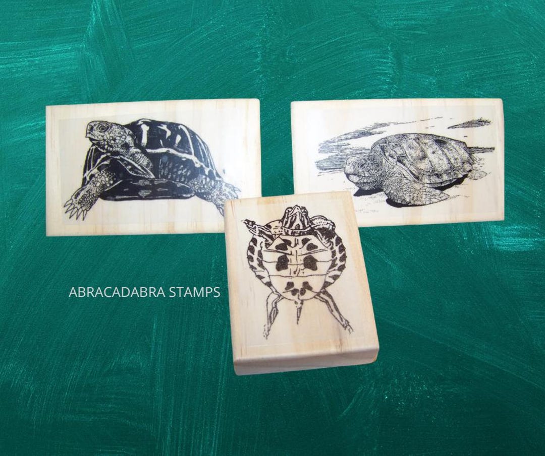 Turtle Rubber Stamp 3 Turtles New Rubber Stamps | Galapagos Turtle ...