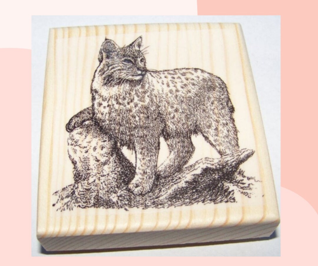Bobcat Rubber Stamp | Animal Rubber Stamp | Bob Cat Rubber Stamp | - Etsy
