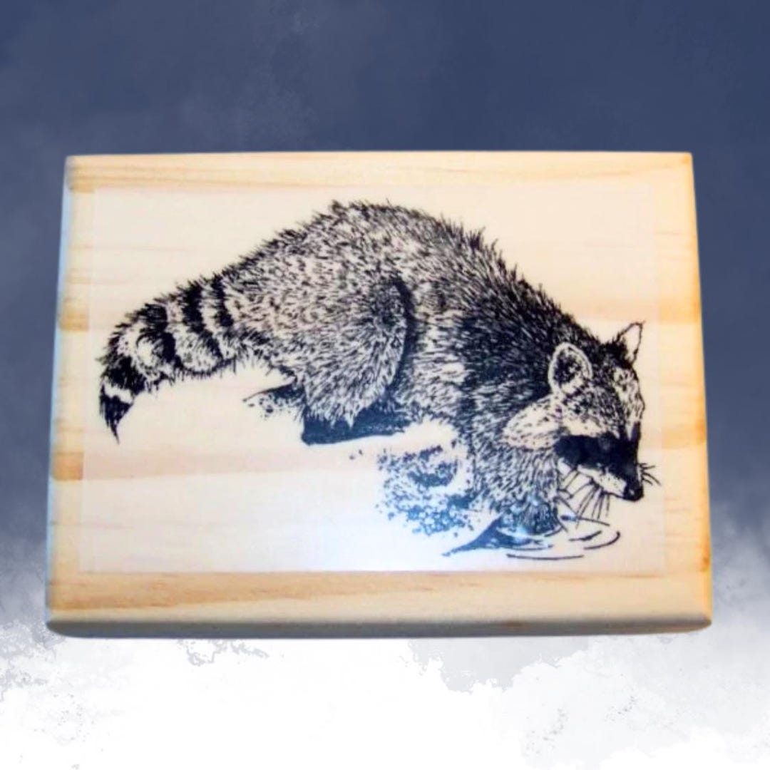 Raccoon Rubber Stamp Raccoon Washing His Hands New Rubber Stamp Animal ...