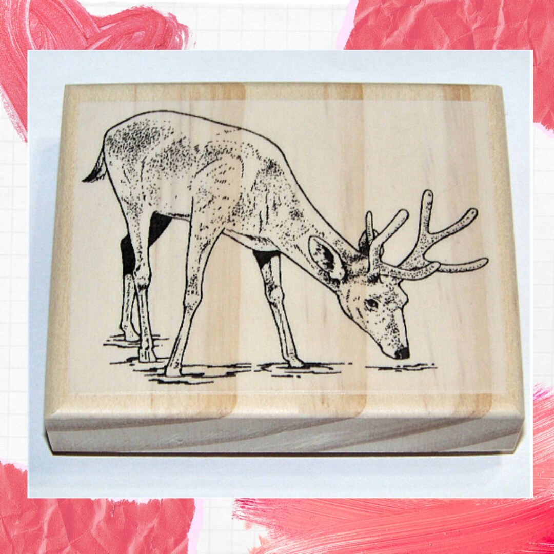 Realistic Deer Rubber Stamp Deer Drinking Stream New Rubber Stamp - Etsy