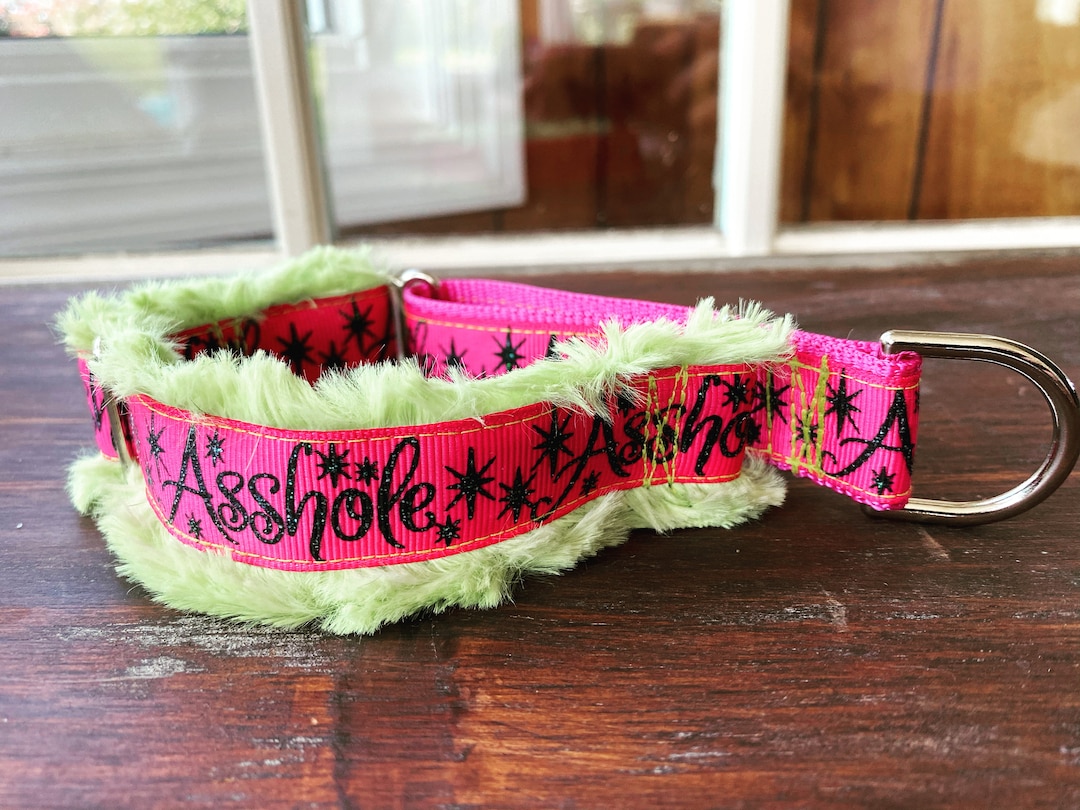Cuss Dog Collar for Italian Greyhounds//whippets//greyhounds - 3 Colors ...