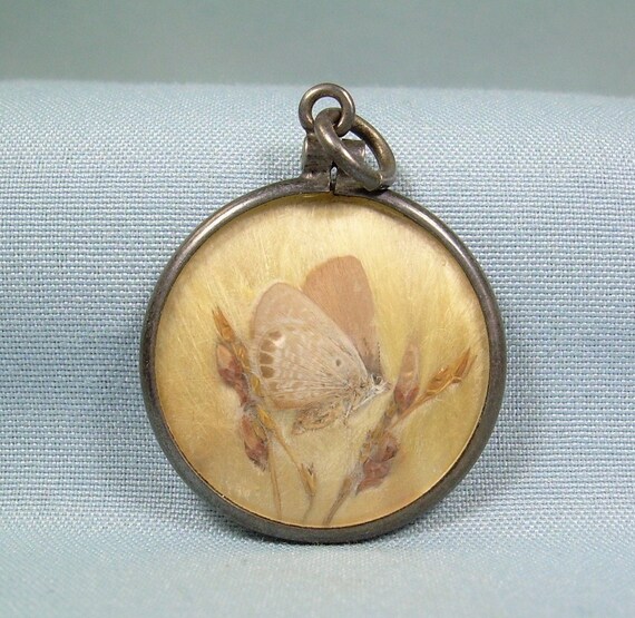 1-1/4 STERLING ENCASED BUTTERFLY Moth Victorian Locket | Etsy