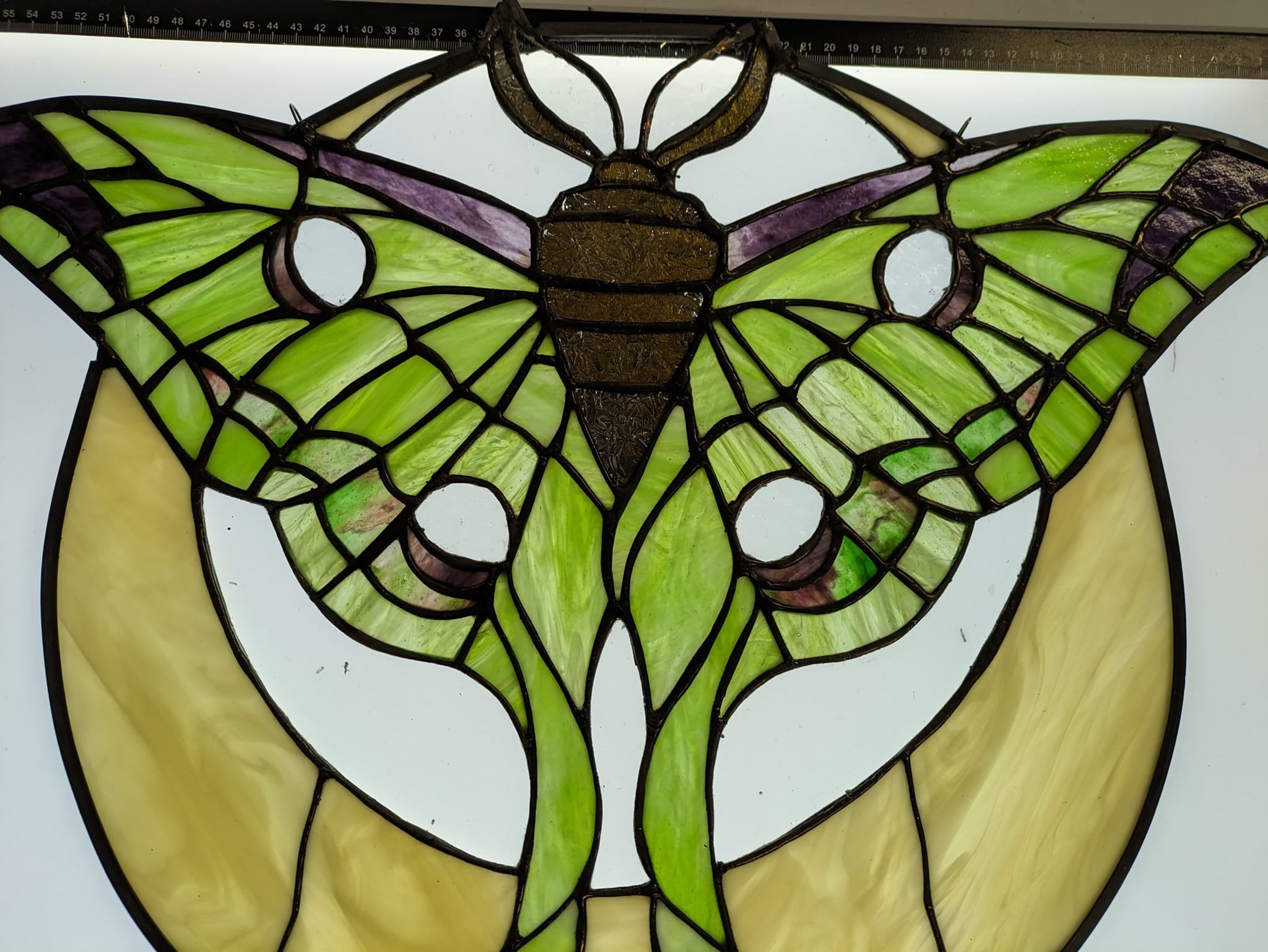 Luna Moth Stained Glass Art - Etsy