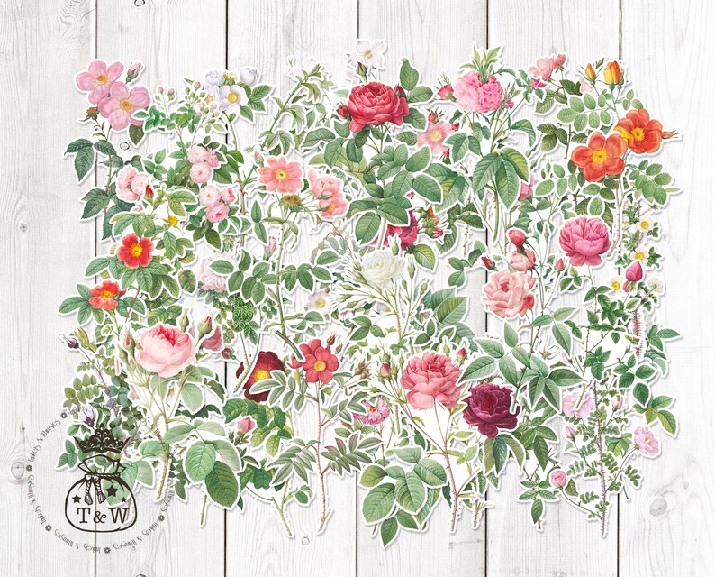 Petals & Thorns Sticker Flakes in a Tin Can | Roses Die Cut Stickers ...