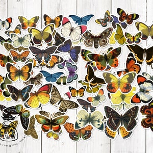 Fluttering Sticker Flakes in a Tin Can | Butterfly Die Cut Stickers - Etsy